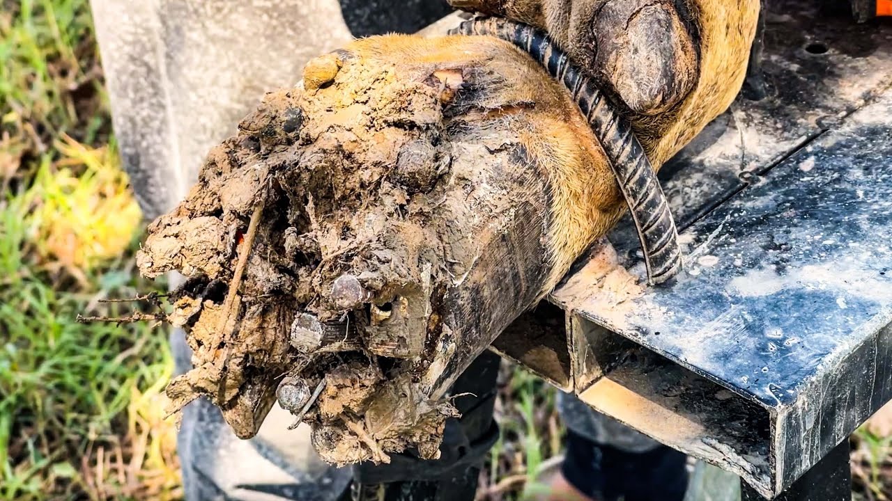 73!! Incredible!! Wash the mud - cut, trim and removing the screw with ...