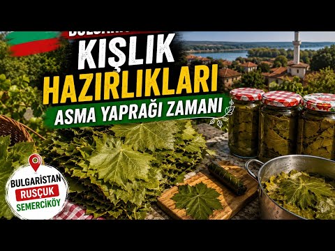 Kışlık hazırlıkları tam gaz devam ediyor! #keşfet #asmayaprağı #sarma #bulgaristan #balkan #food