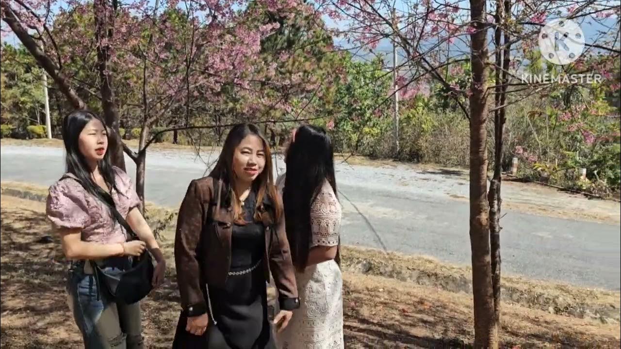 Coj me nyuam mus ua si ntev lawm tsis tau ua li - YouTube