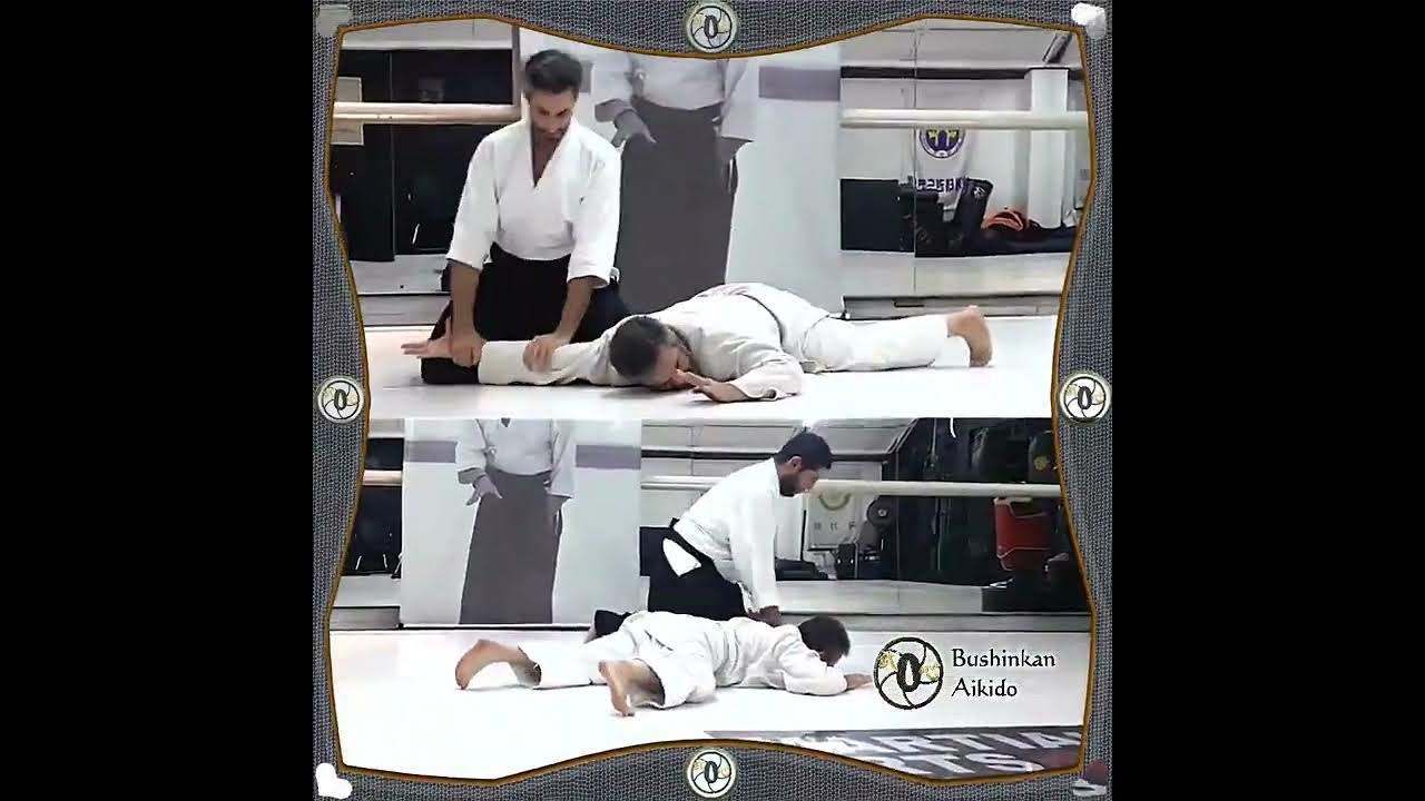 AIKIDO - UKEMI WAZA(受身技)Level: 守 (basic)"Falls" - 5 - YouTube
