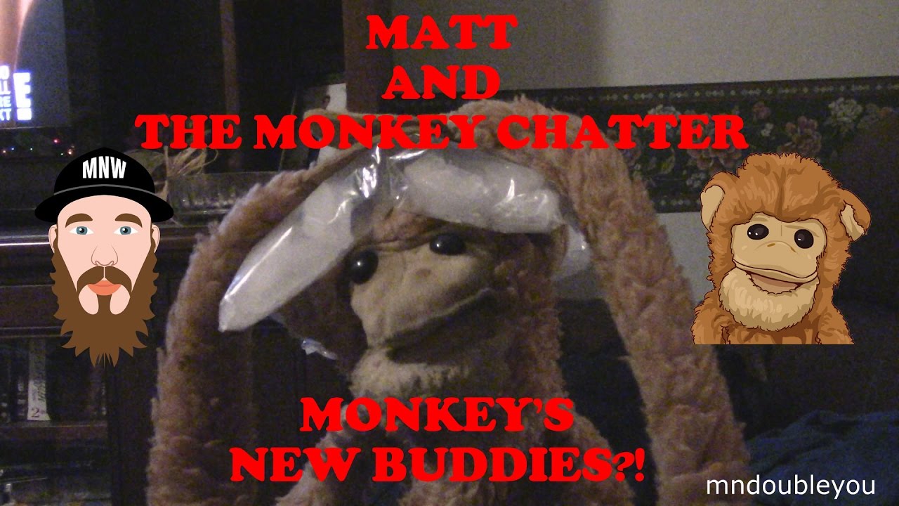 Monkey's New Buddies?! - Matt and The Monkey Chatter - YouTube