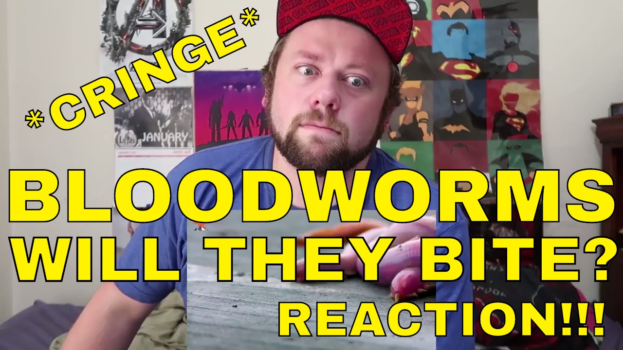 *CRINGE* BLOODWORMS : Will They Bite?! REACTION!!! - YouTube