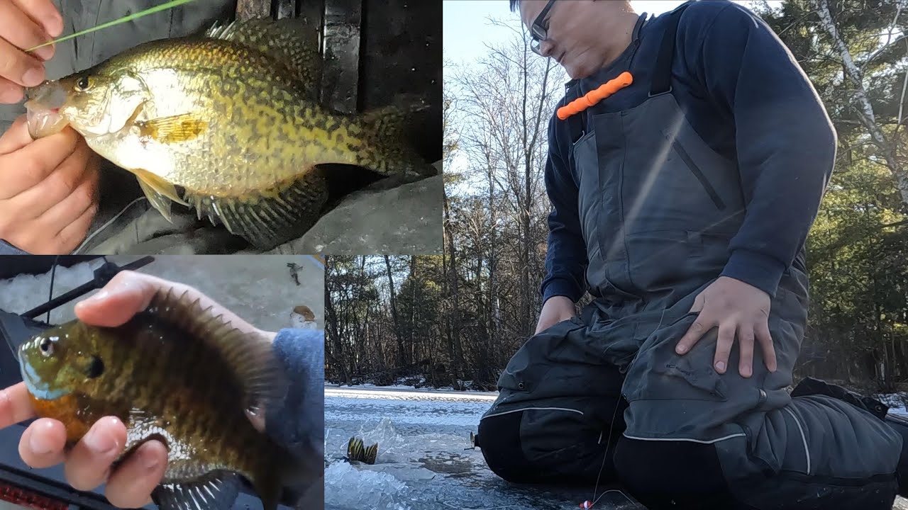 Mixed Bag Kind of Day - Pike Wouldn't Leave the Camera Alone ...