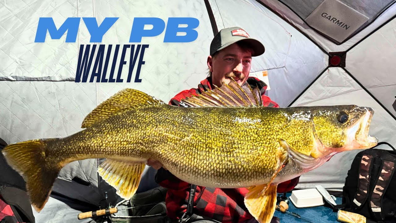 Ice Fishing February Walleyes (My Longest Walleye EVER) - YouTube