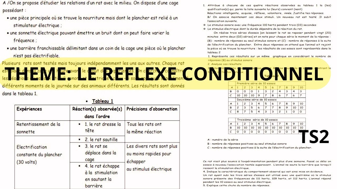 (TS/SVT) EXERCICE DE SYNTHESE SUR LE REFLEXE CONDITIONNEL 🧠🤜🔥 - YouTube