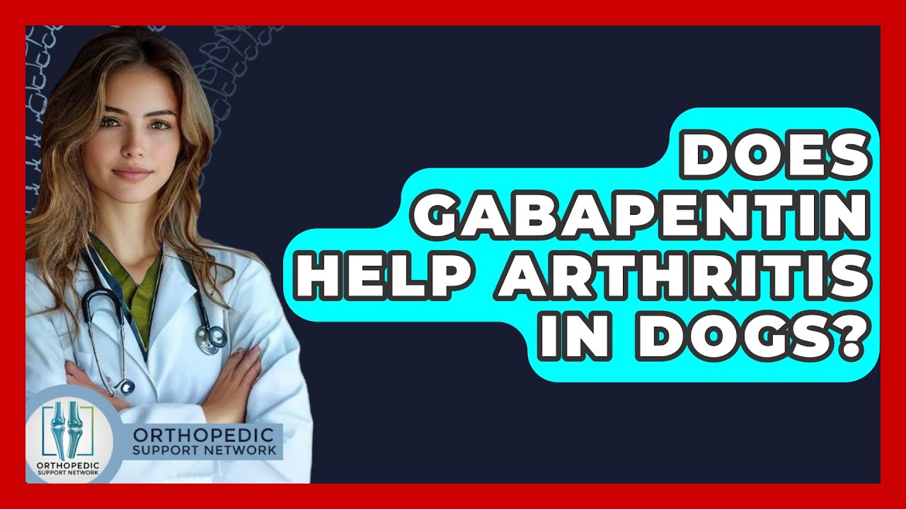 Does Gabapentin Help Arthritis In Dogs? - Orthopedic Support Network ...