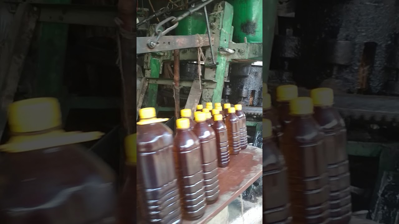 Ghani vanga sorisar tel ১০০% খাঁটি কাঠের ঘানি ভাংগা সরিষার তেল। - YouTube