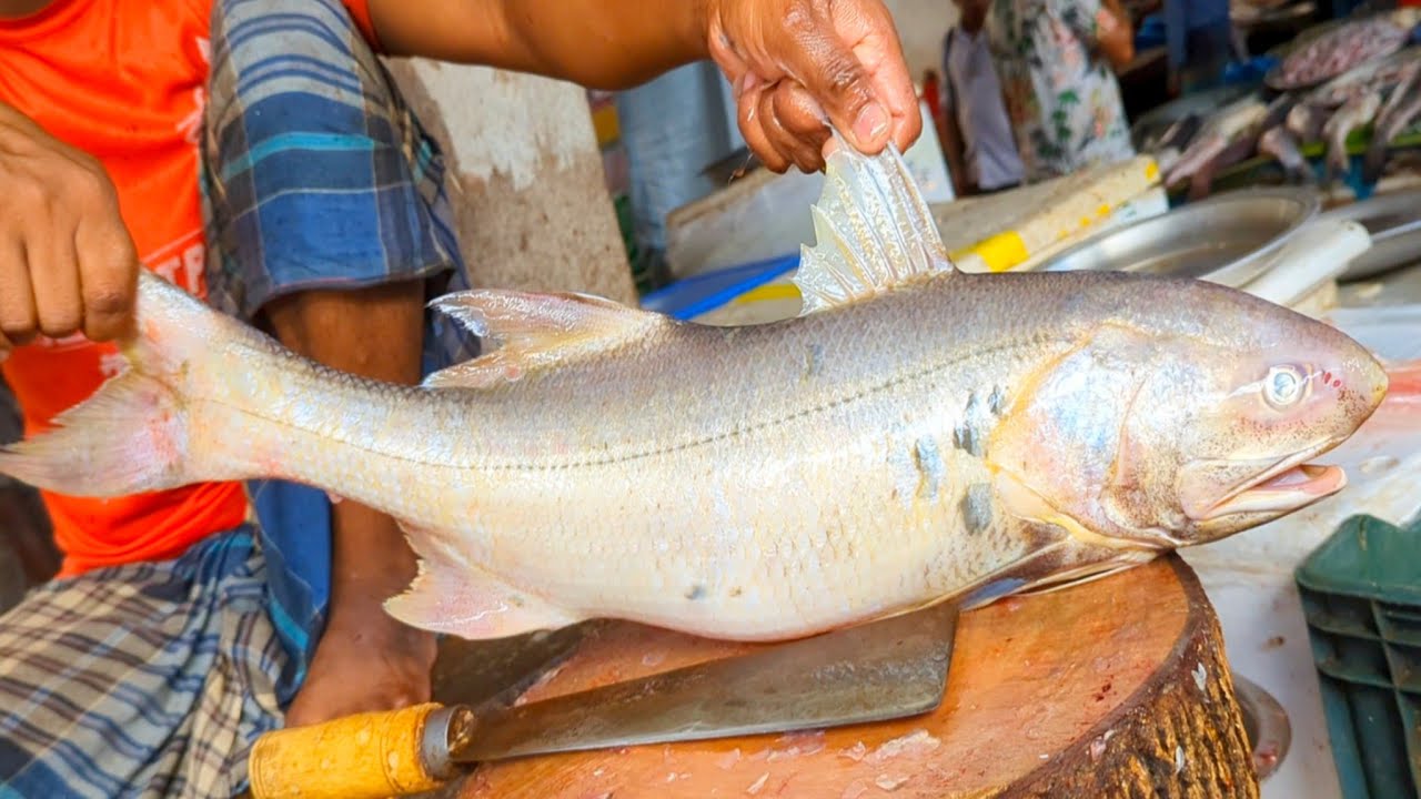 Delicious Lakka Fish Cutting & Cleaning Skills In Bangladesh Local Fish ...