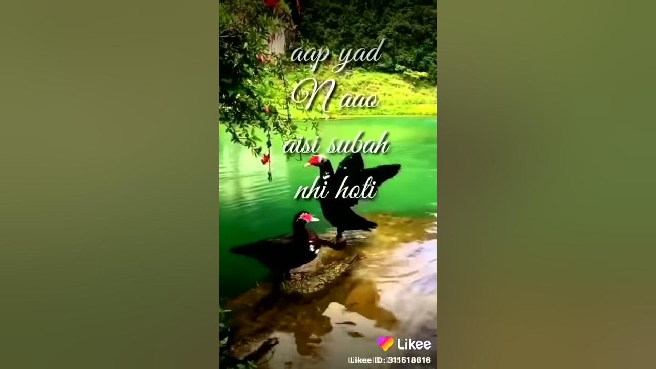 8 December 2019 YouTube 8-december-2019-youtube