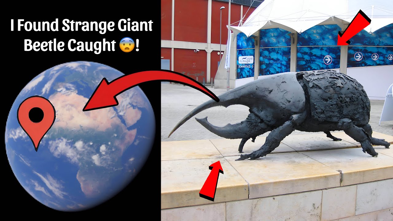 🪲I Found Strange Giant Beetle Caught On Google Earth and Google Maps 😰! - YouTube