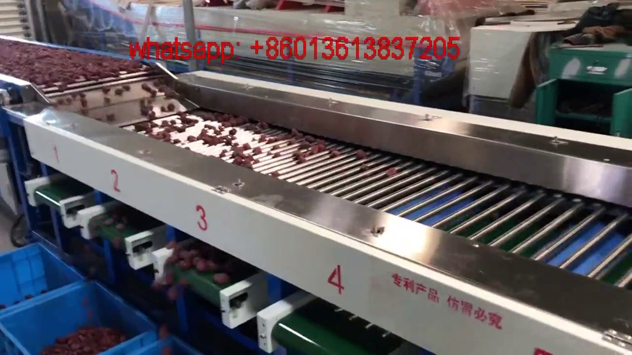 dates jujube grading machine, dates sorting machine - YouTube
