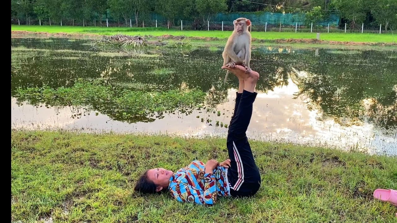 Monkey Ella is playing circus with mom so much funny - YouTube