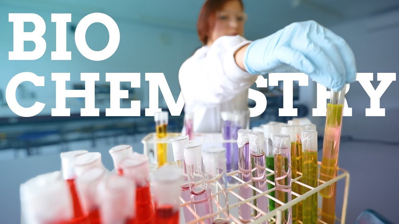 Chemistry Lecture for Class 9th Chapter 1 Lecture 5 (Branches of ...