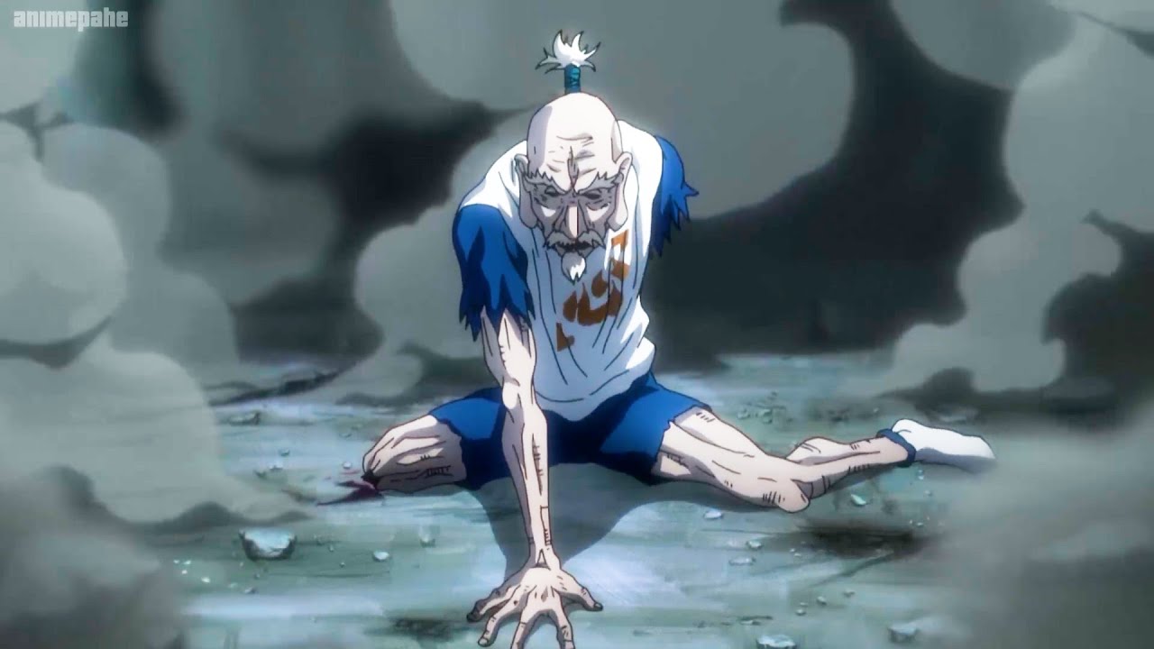 ハンター×ハンター | Netero commits suicide to detonate "Miniature Rose" killing ...