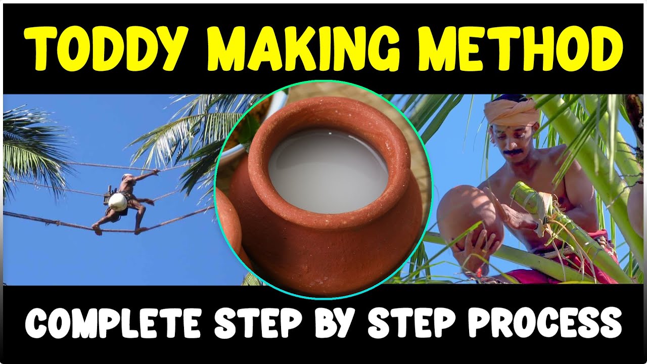 Toddy Making Process | Toddy Tapping , Fermentation & Processing - YouTube