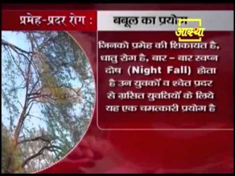 Ayurvedic use Acacia Tree (Babul) - YouTube