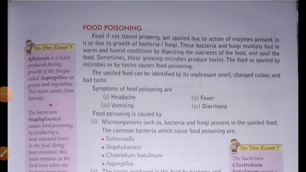 Microorganism and viruses. CLASS 8 Last lecture - YouTube