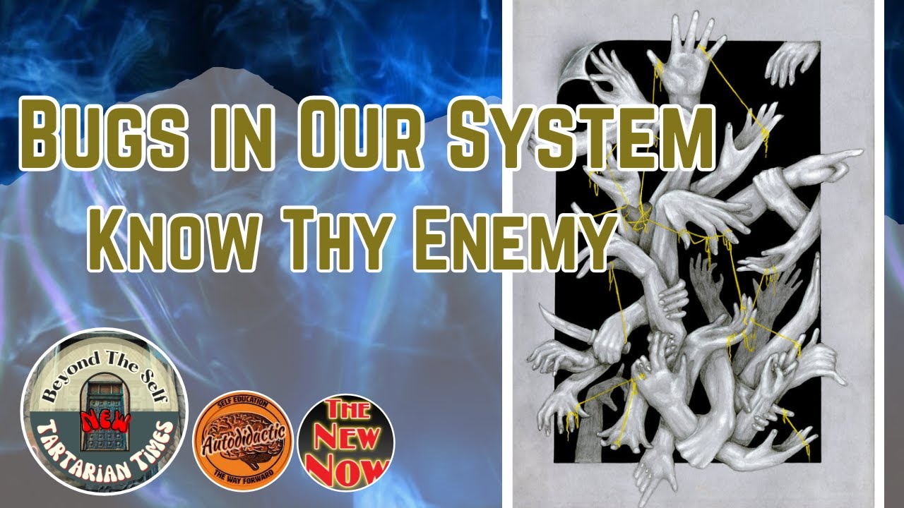 Bugs in Our System - 'Know thy Enemy' - YouTube