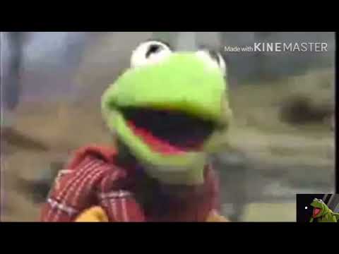 Kermit accidentally kermitted sewer slide