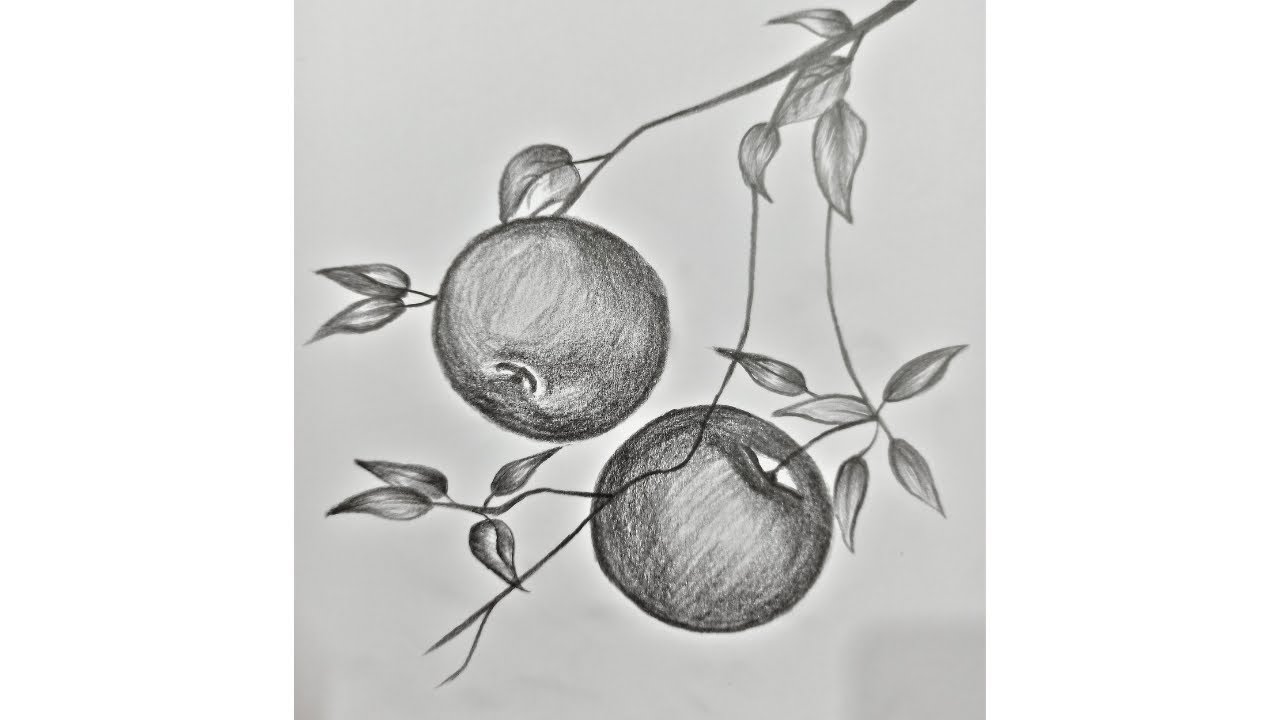 Fruit archives || Learn How to Draw an Apple Simple Way – Step by Step ...