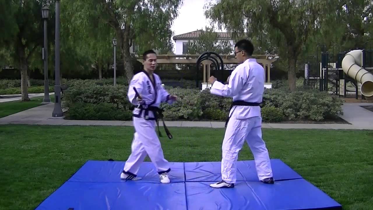 Hapkido Dan Bong Techniques 합기도 단봉 법 - YouTube