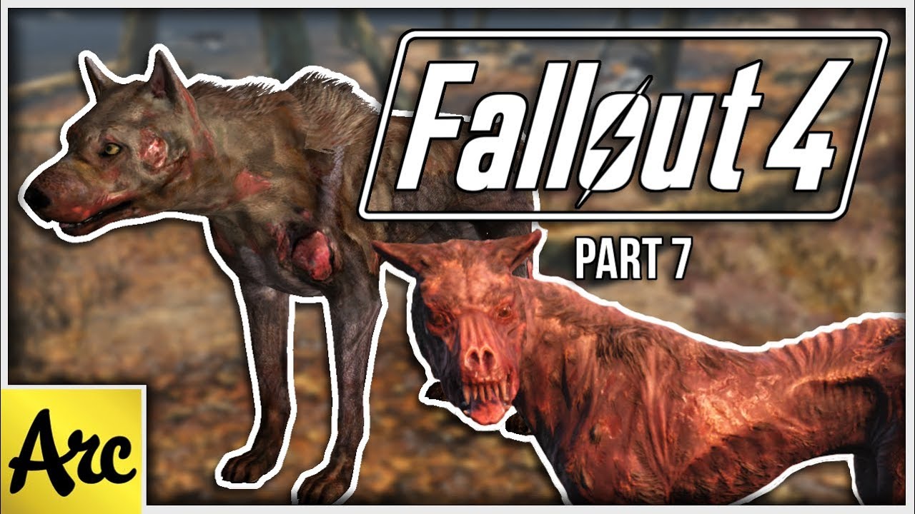 Fallout 4 Gameplay "The Wild Hounds" | Part 7 - YouTube