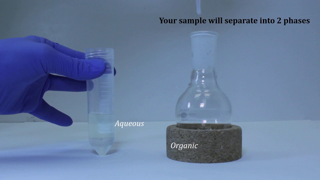 BCH2333 Lab4, Experiment 1aii: Lipid extraction - YouTube