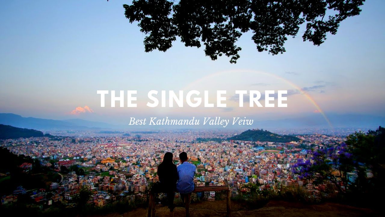 THE SINGLE TREE | KTM BEST VIEWS - YouTube