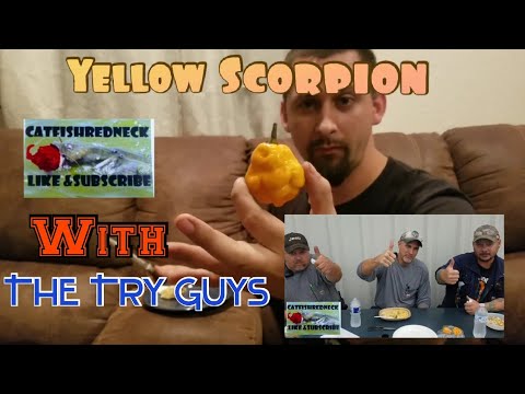Reaction with Try Guys Yellow Scorpion (Catfish Redneck) - YouTube