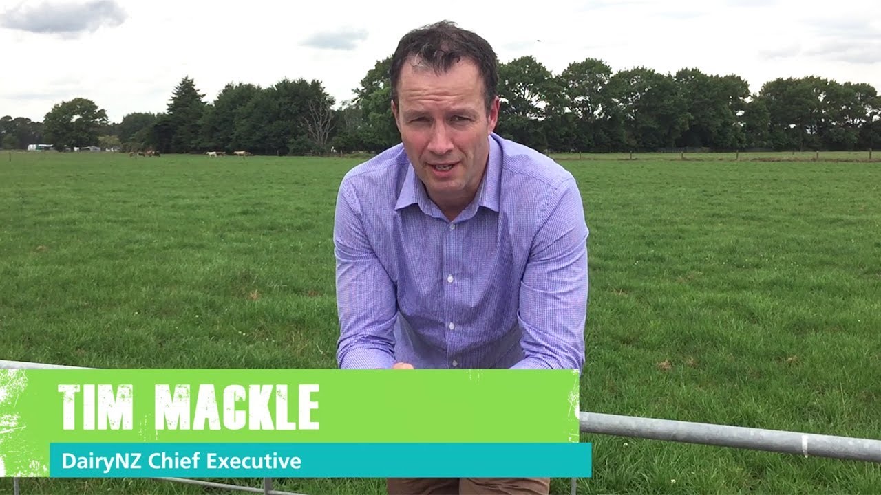 Mycoplasma bovis update from Tim Mackle - 12 January - YouTube