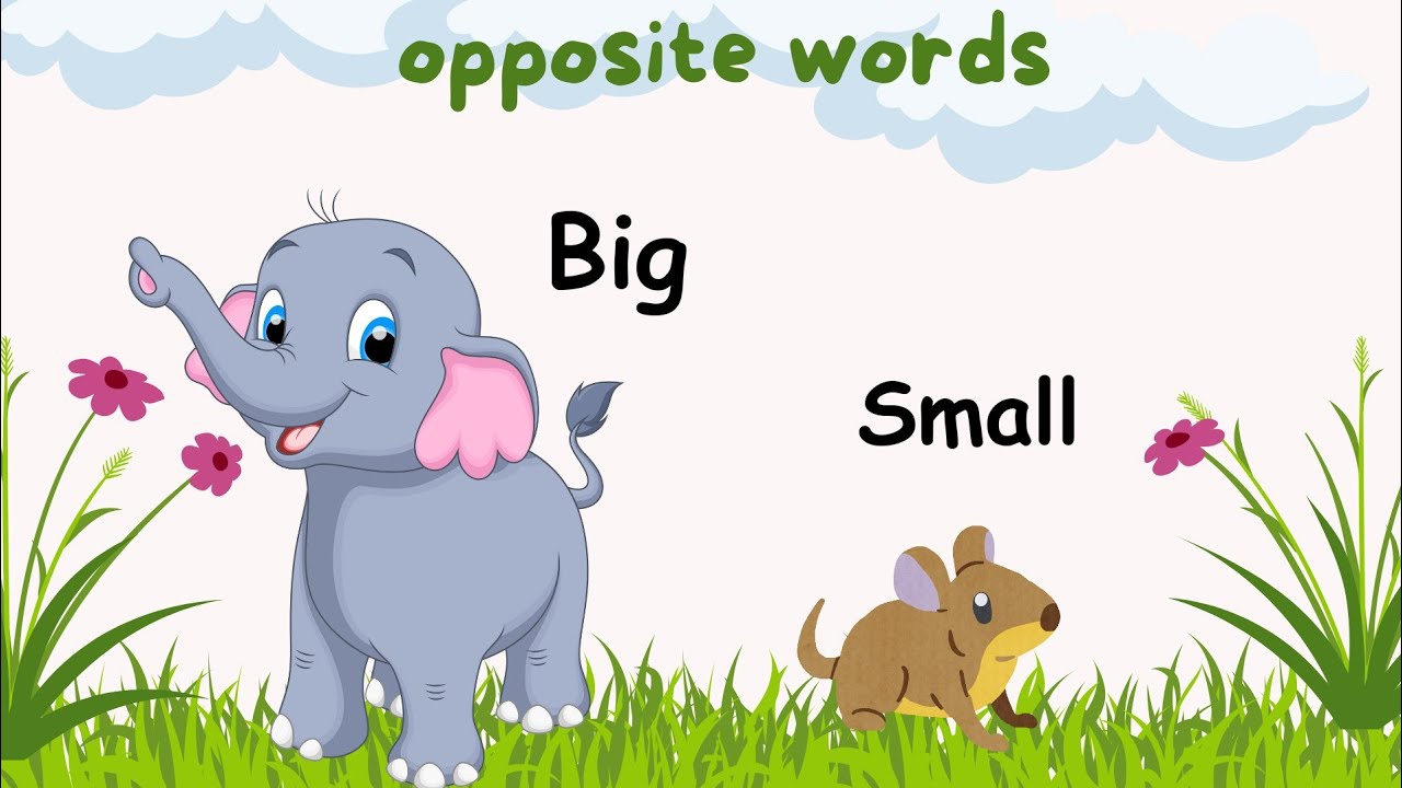 Opposite words in English | antonyms for kids | opposite words for ...