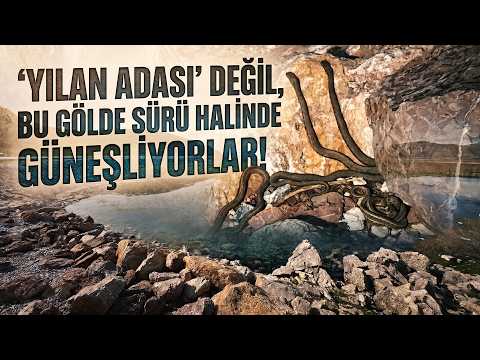 Burası Brezilya’nın ‘Yılan Adası’ Değil Yüksekova!