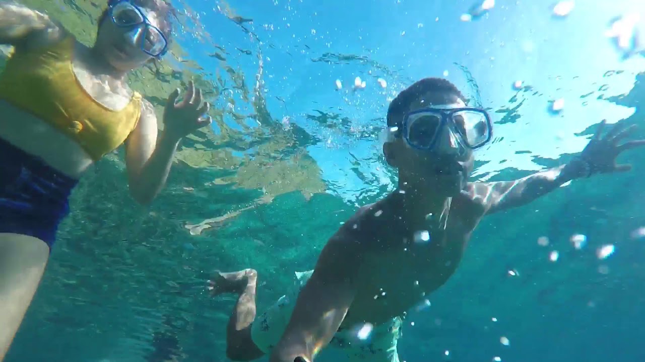 Snorkeling and Free Diving in Moalboal - YouTube