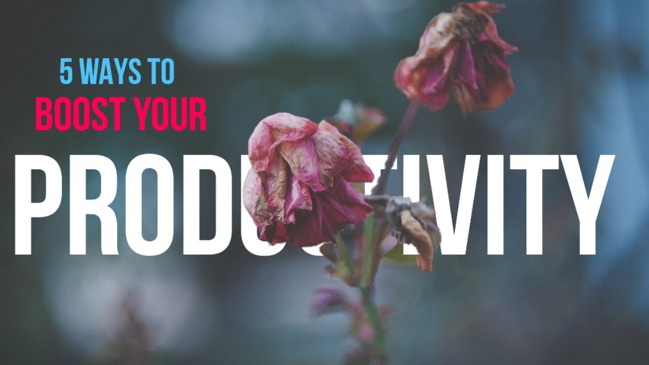 Maximize Your Efficiency: Proven Strategies for Increased Productivity ...