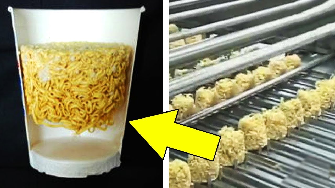 20 Moments That Prove Your Life Is a Lie - YouTube