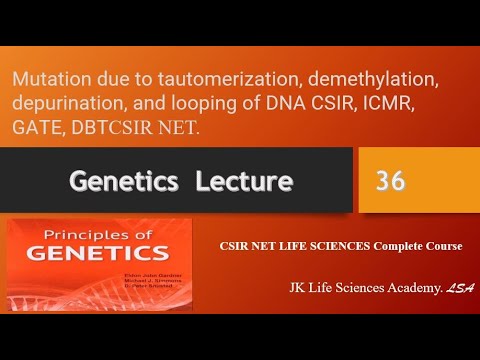 Lecture No 36 Mutation due to tautomerization, demethylation ...