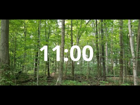 11 Minute Timer Countdown Clock | No Music No Talking - YouTube
