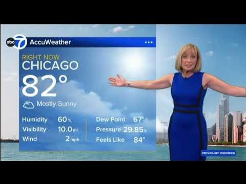 Tracy Butler - ABC 7 Chicago Weather Montage - 30 July 2024 - YouTube