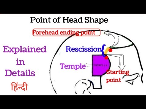 Hair terminology part 1| Point of head shape | Hair science course # ...