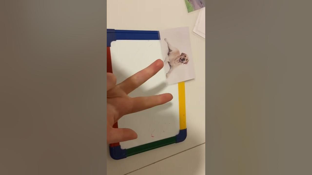 Segmenting CVC words - YouTube