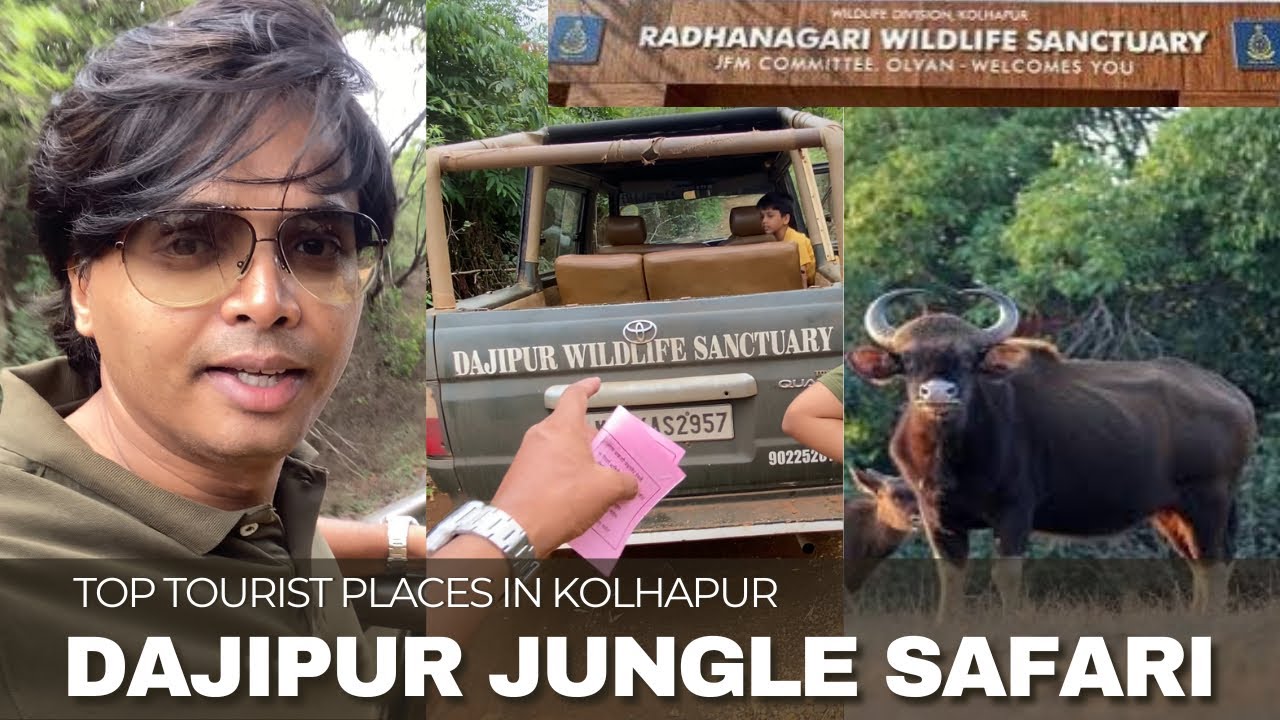 Dajipur Jungle Safari | Radhanagari Wildlife Sanctuary | Kolhapur ...