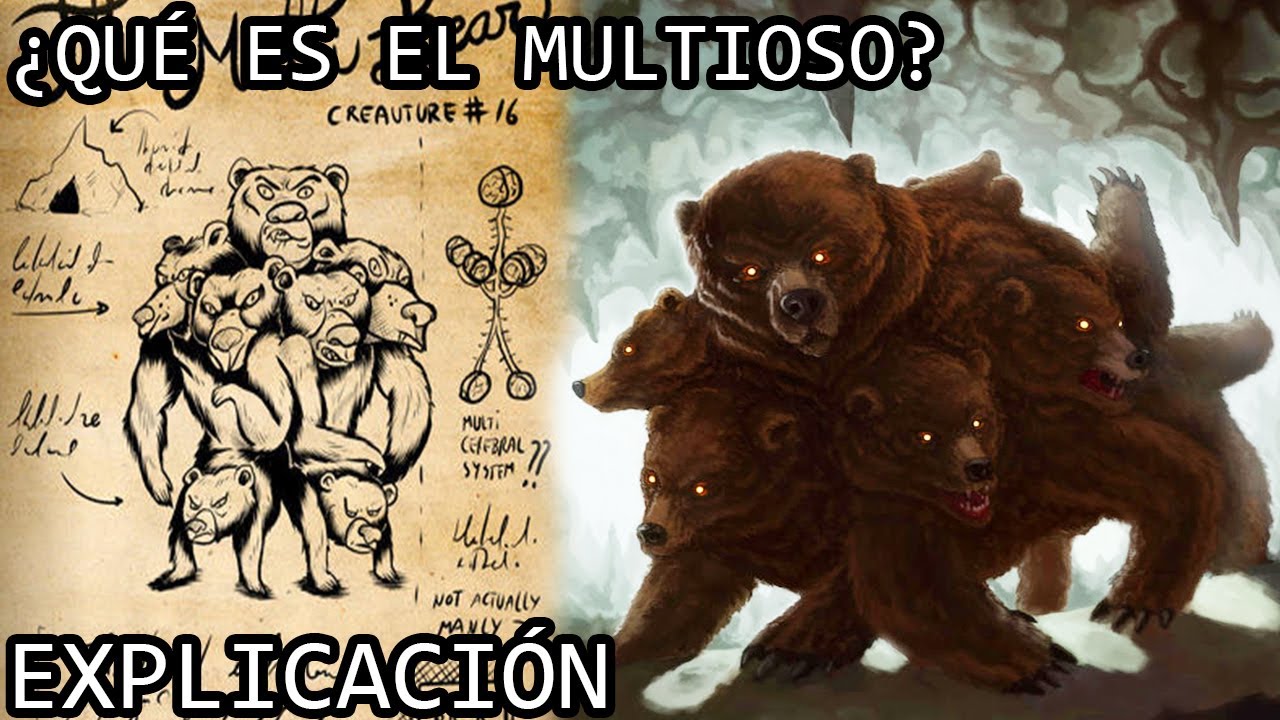 ¿Qué es el Multioso? | El Misterioso Origen del Multioso (Multi Bear ...