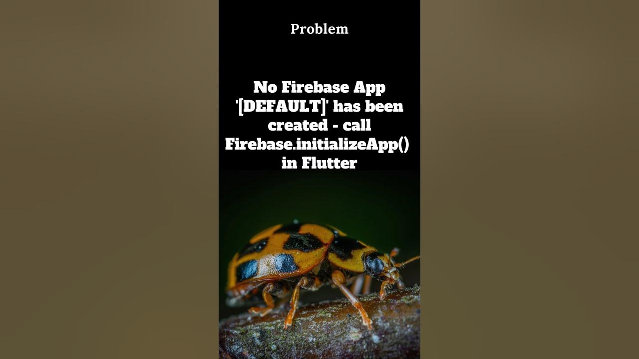No Firebase App '[DEFAULT]' has been created - call Firebase.initializeApp() in Flutter and ...