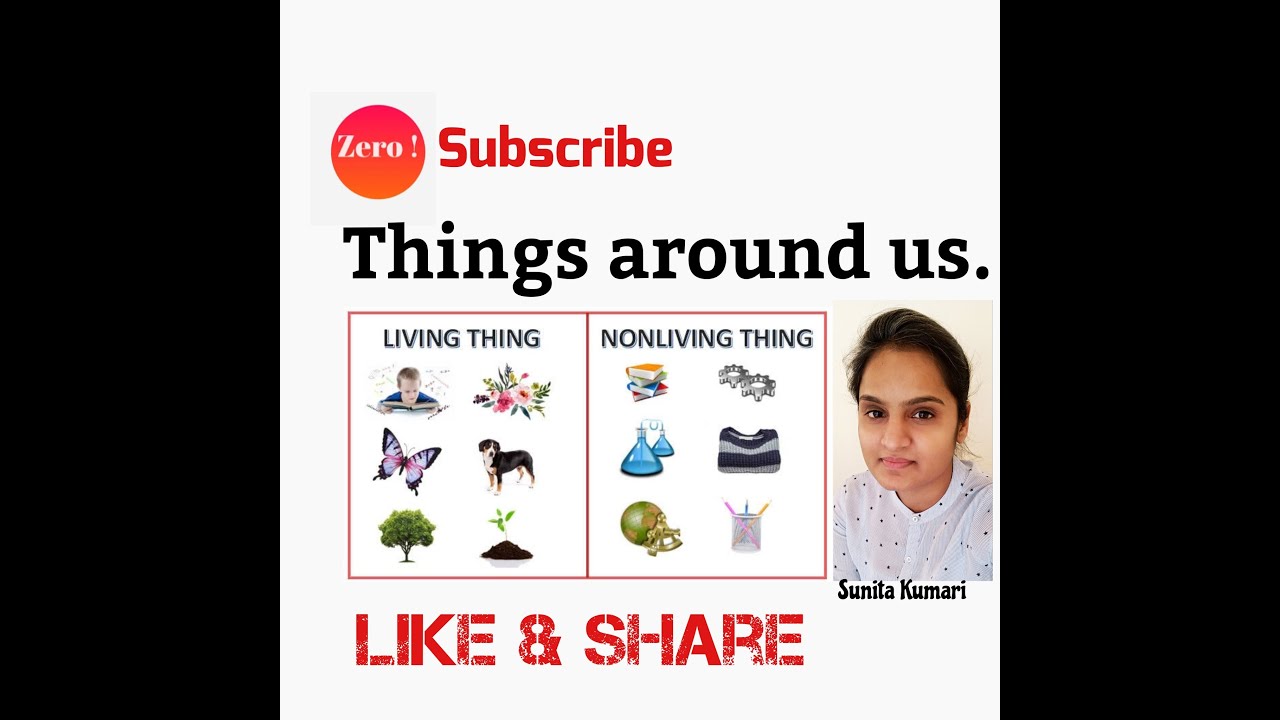 Things Around us. - YouTube