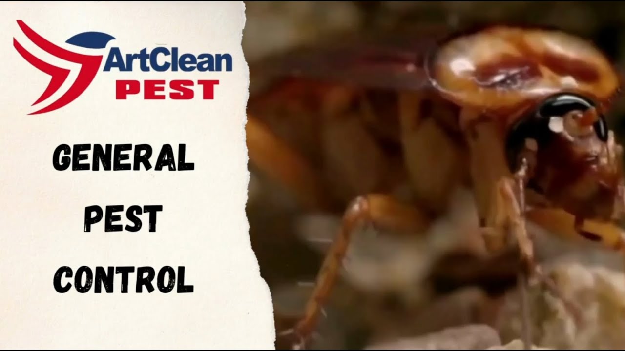 General Pest Control Information - YouTube