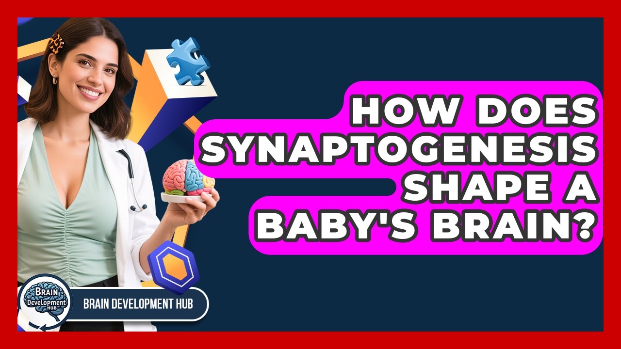 How Does Synaptogenesis Shape A Baby's Brain? - Brain Development Hub ...