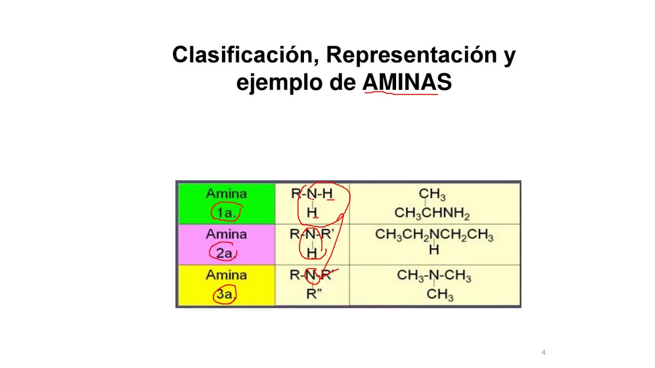 aminas amidas PARTE I - YouTube