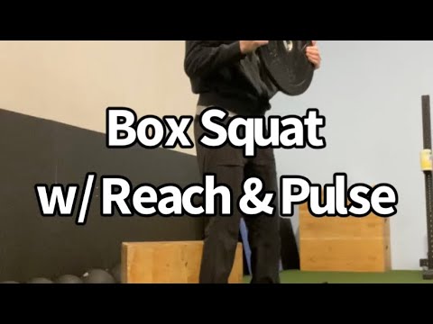 Plate Reach Box Squat w/ Pulse - YouTube