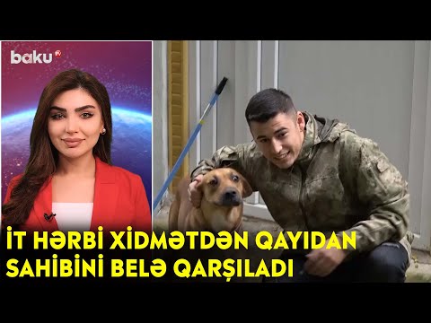 İt hərbi xidmətdən qayıdan sahibini belə qarşıladı - Maraqlı anlar | BAKU TV