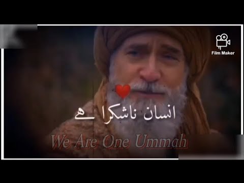 Insan Nashukar Hay || Ibnul Arabi Golden Words || WhatsApp Status